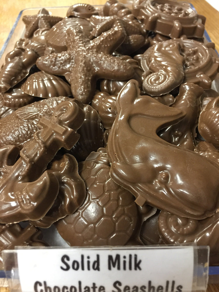 Solid Chocolate Seashells – SweetBelmar